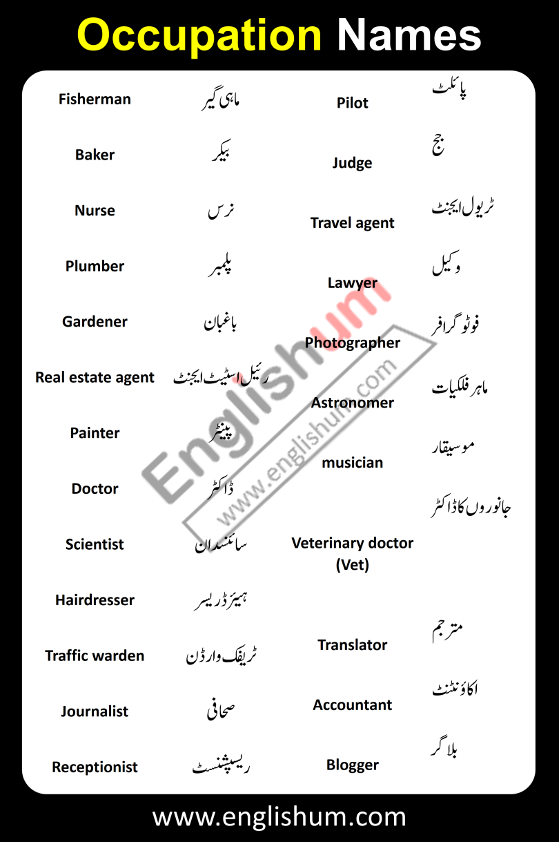 57 Occupation Names In English And Urdu Englishum 57 Occupation Names In English And Urdu Englishum