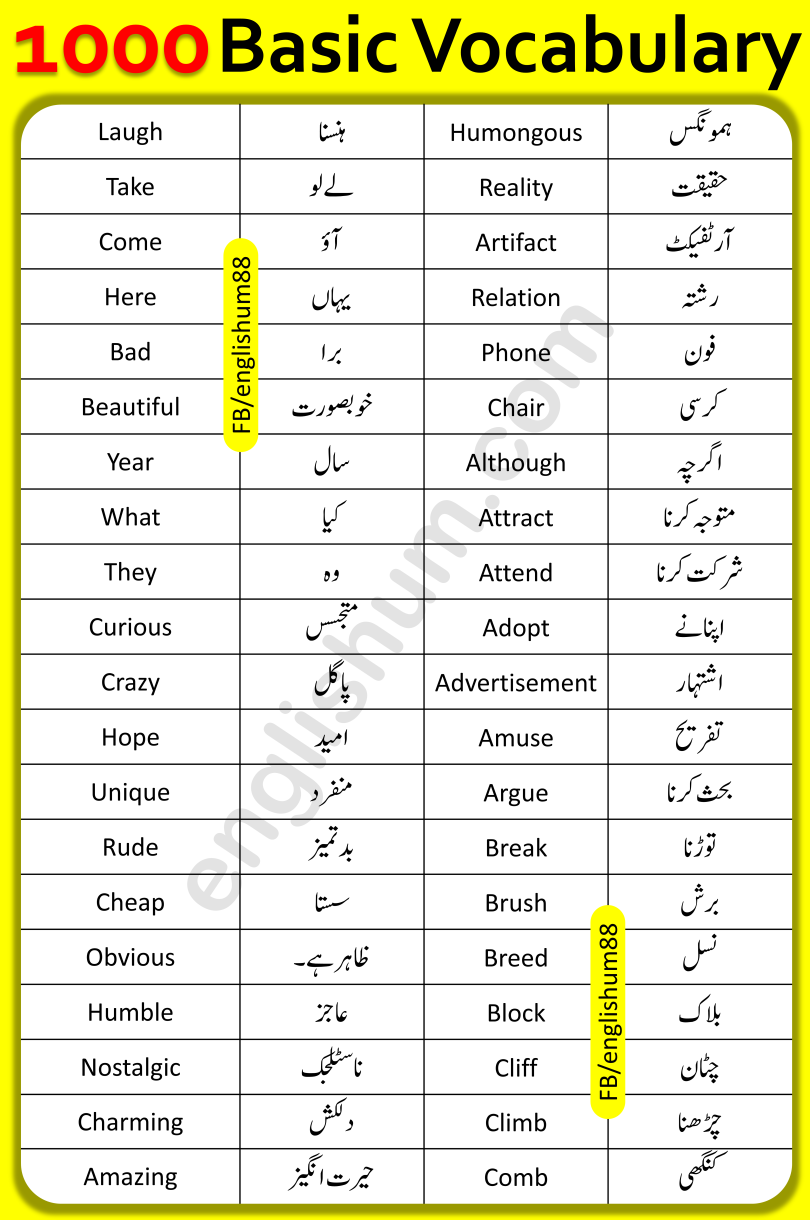 1000 Basic Words English to Urdu - Englishum